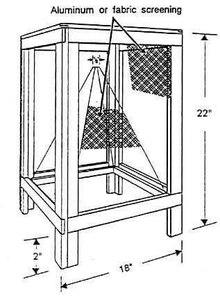 10 Ingenious DIY Mosquito and Fly Traps