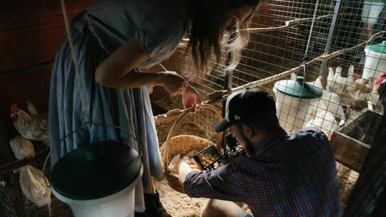 How to Find a Commune for Homesteading - Homestead & Prepper