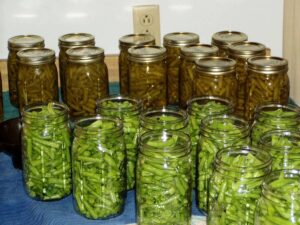 How To Can Green Beans With A Water Bath - Homestead & Prepper