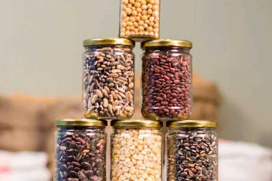 The Comprehensive Guide to Drying Purple Hull Peas - Homestead & Prepper