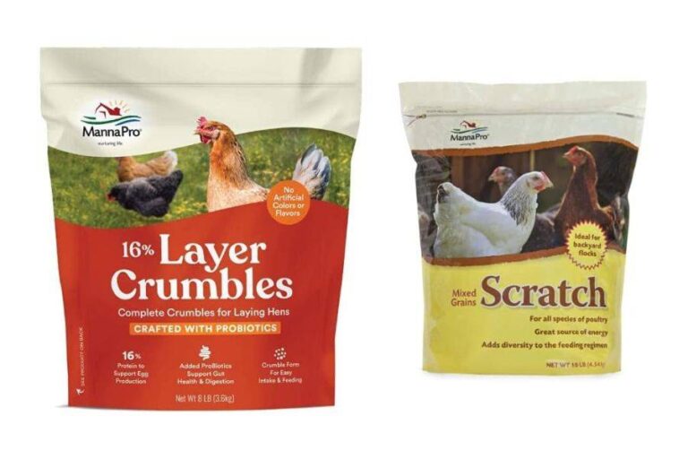 Tractor Supply Chicken Feed Problems Explained - Homestead & Prepper