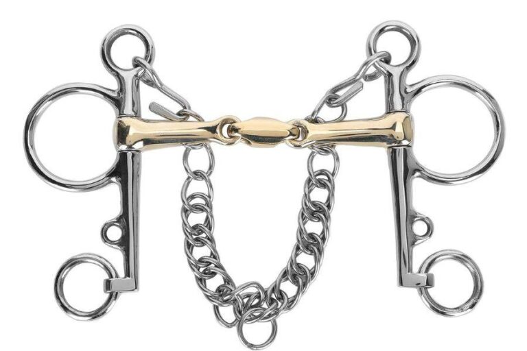 Pelham Bit vs Kimberwick for Homestead - Which is Better? - Homestead ...