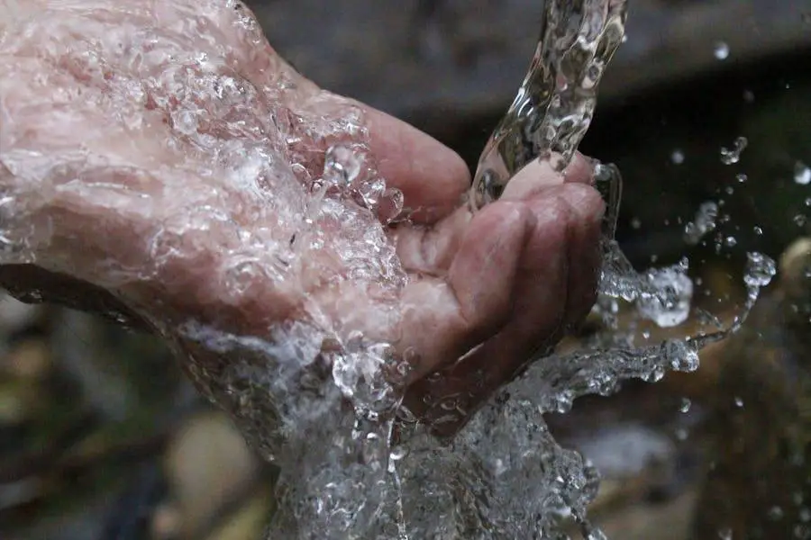 How to Find Spring Water on Your Property - A Comprehensive Guide ...