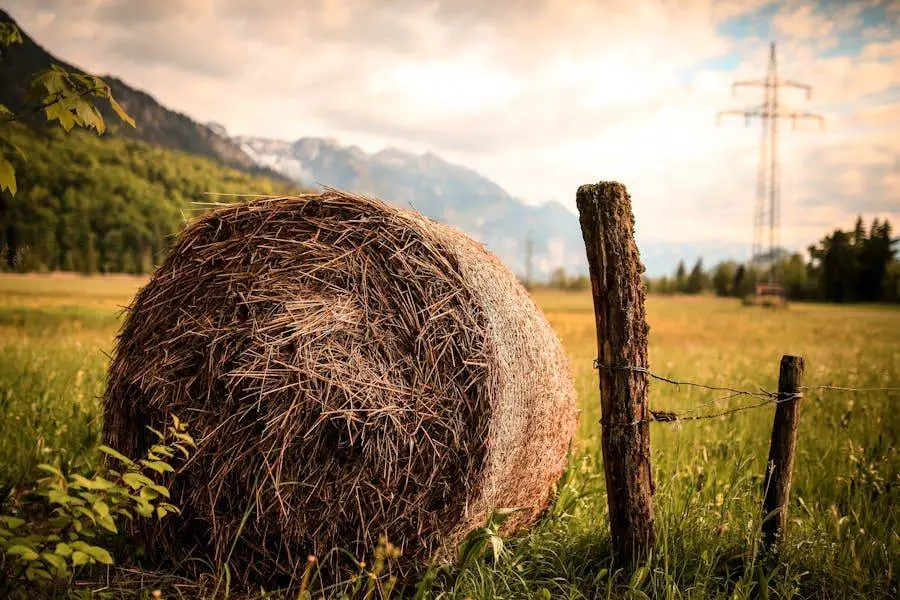 How to Move Round Bales Without a Tractor - Best Methods - Homestead ...